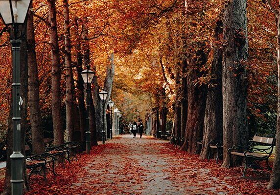 A Few Fun Things To Do This Fall in Ottawa and Gatineau - Duane Francis